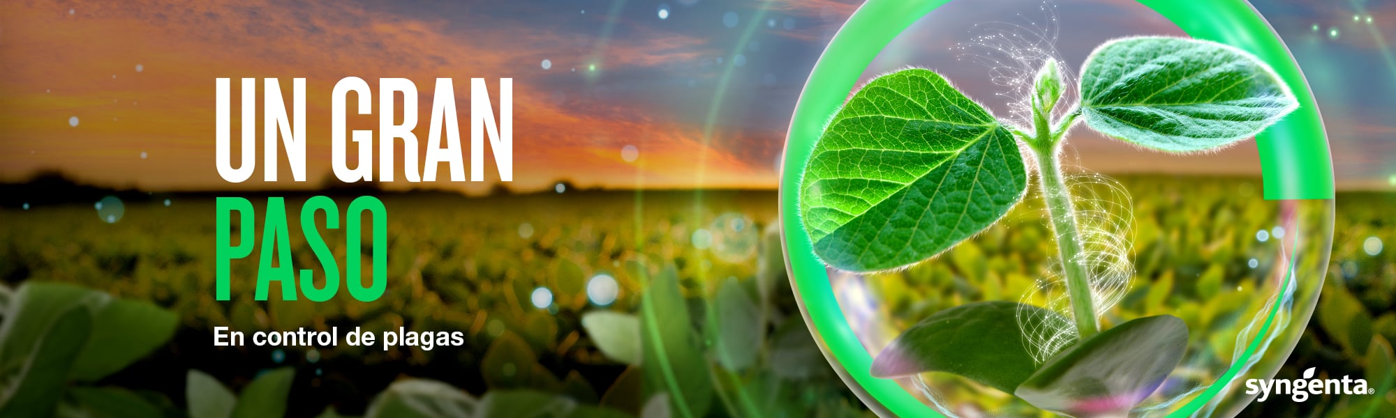 VIRANTRA® | Insecticida para plagas en soja | Syngenta