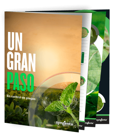 Syngenta | Virantra™ | Insecticida | Un Gran Paso en control de plagas ...